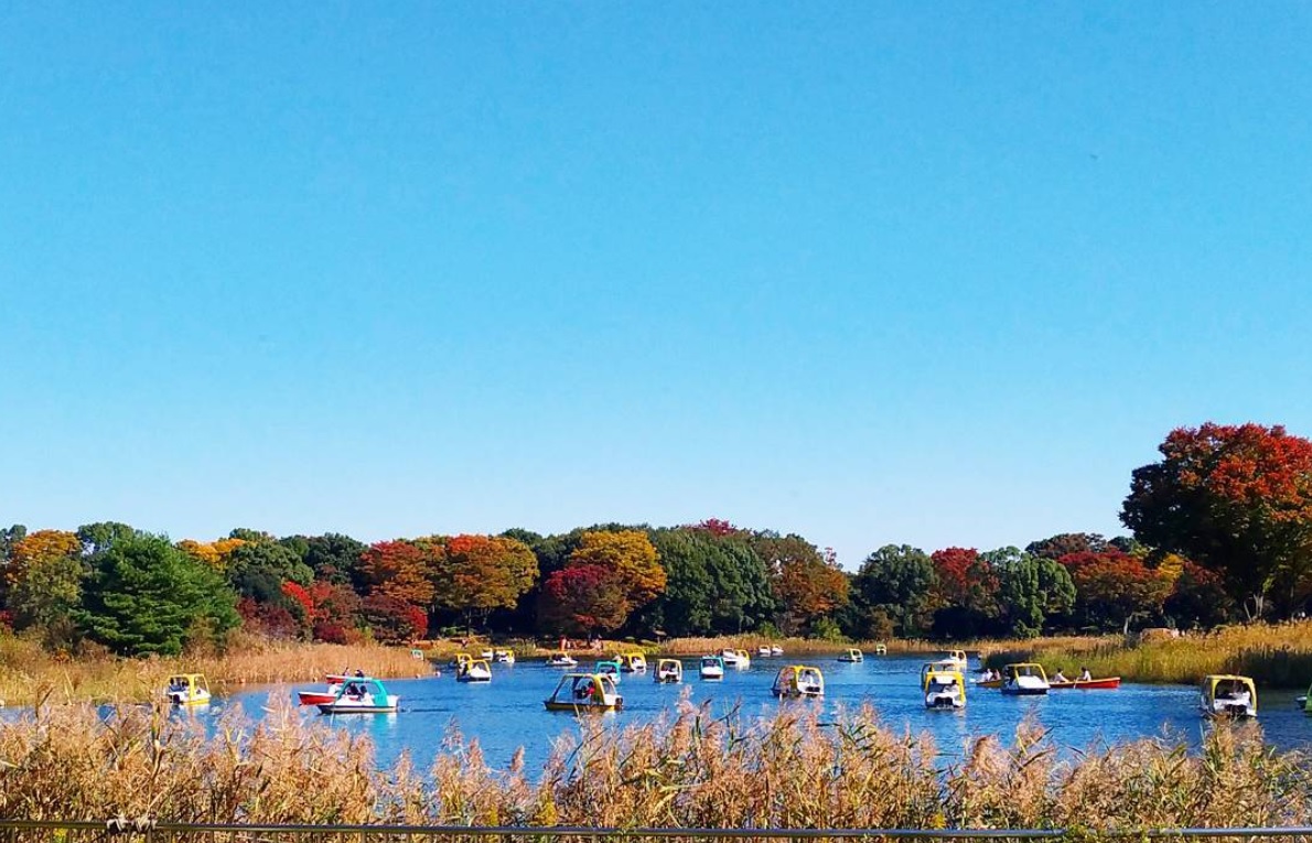 showa kinen koen 1 | Halal Media Japan