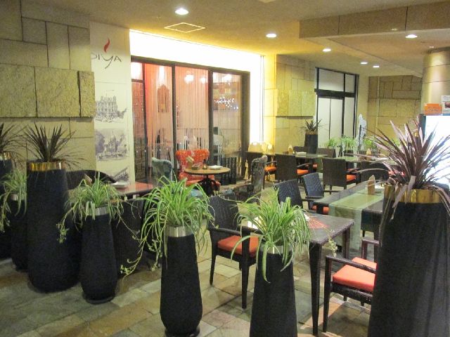 Diya: Enjoy Halal "Hyderabadi Biryani" in Roppongi | Halal Media Japan